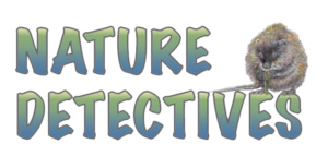 Nature Detectives Kids Club - Boulder County
