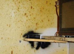 Methamphetamine (Meth) - Boulder County