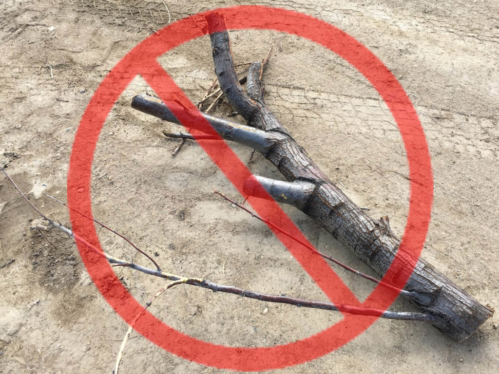 Community Forestry Sort Yards - Boulder County