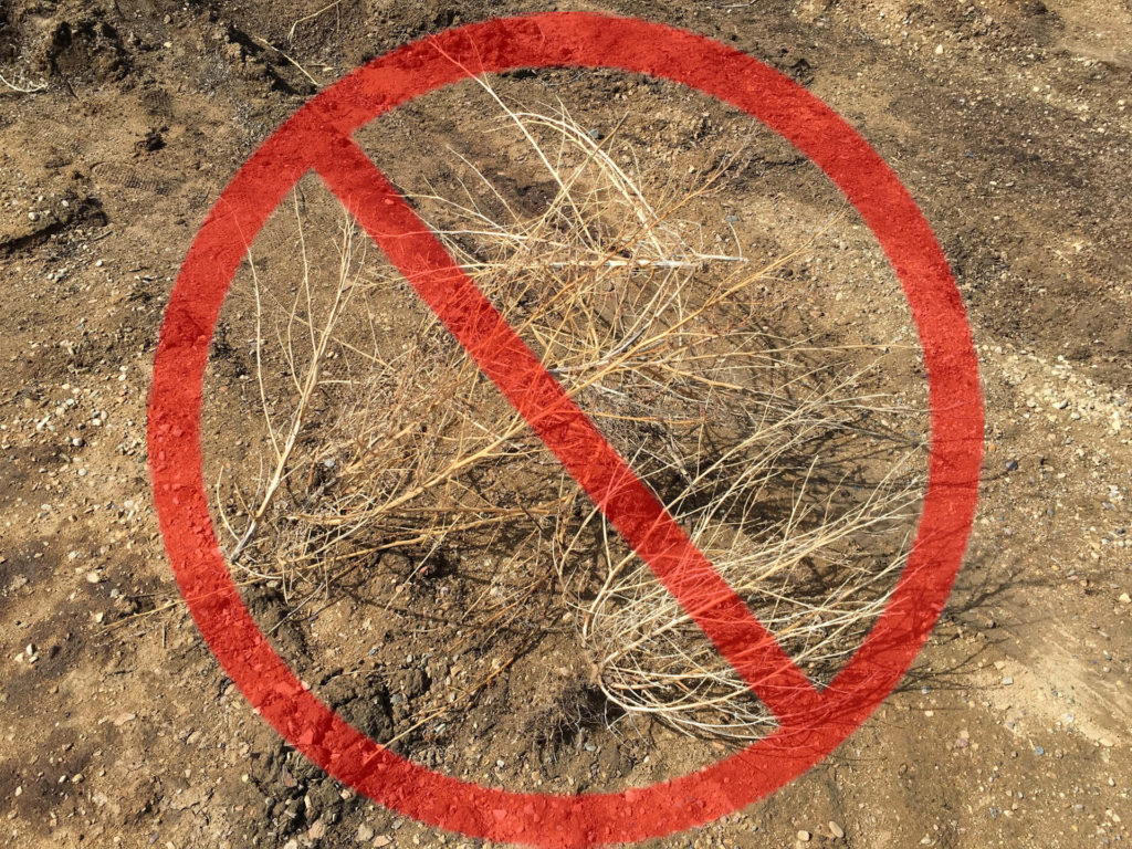 Community Forestry Sort Yards - Boulder County