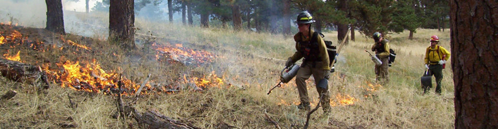 Prescribed Burns - Boulder County