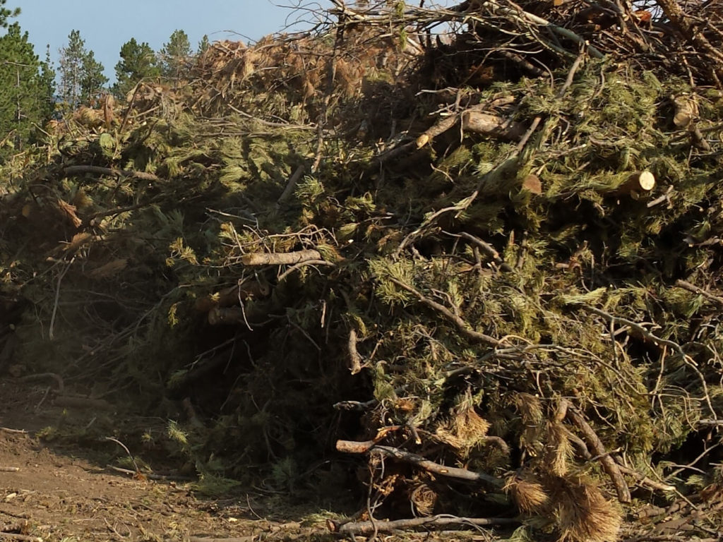 Community Forestry Sort Yards - Boulder County