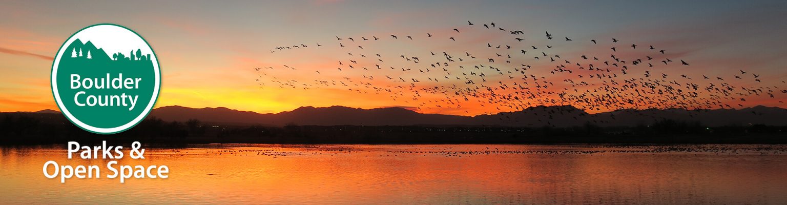 Summer Heritage Morning at Walker Ranch Homestead on Sunday, July 20 ...