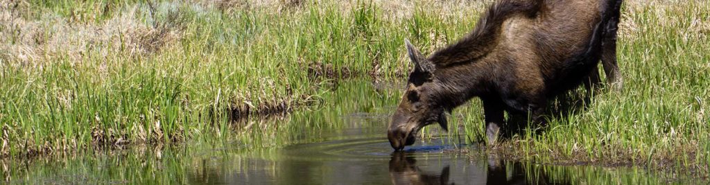 Water - Boulder County