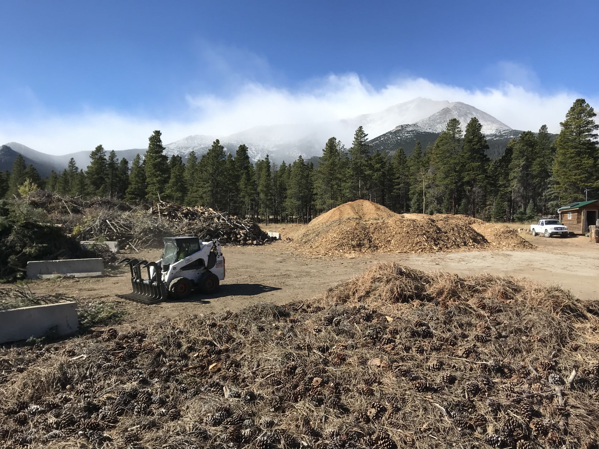 Community Forestry Sort Yards - Boulder County