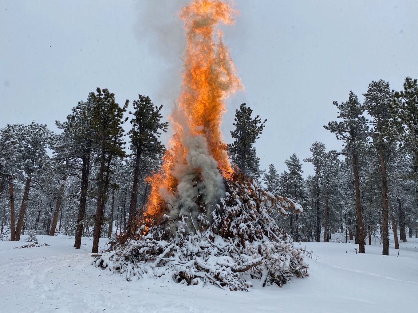 Prescribed Burns - Boulder County