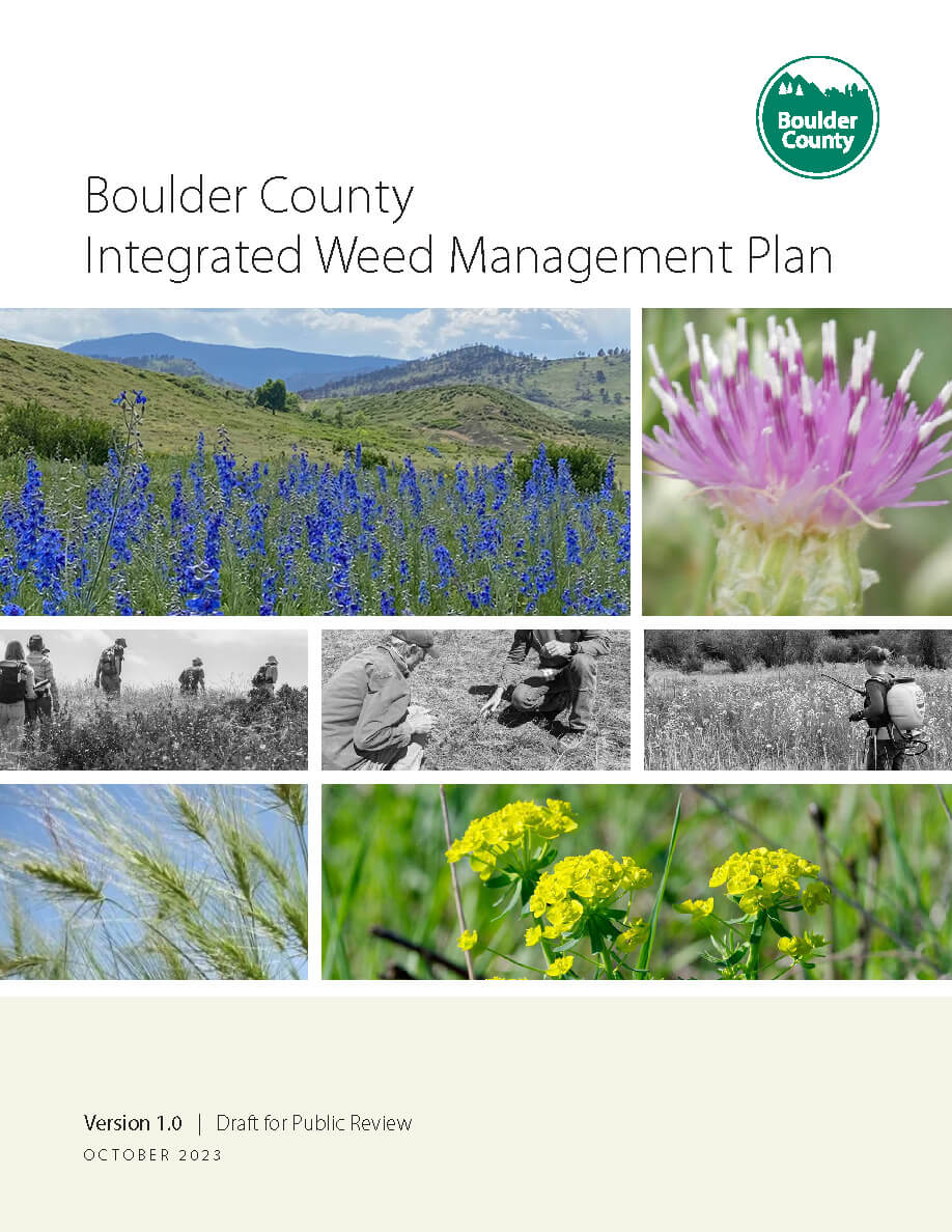 Invasive Plants & Weed Management on Open Space - Boulder County