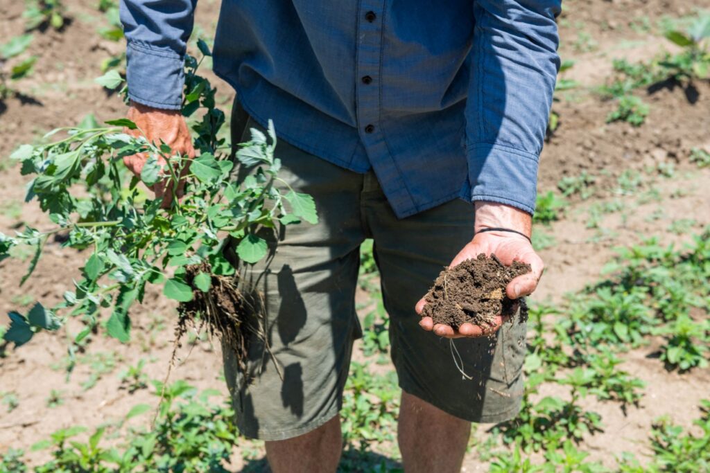 Soil Health Initiative - Boulder County
