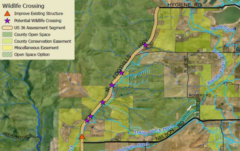 US 36 Wildlife Crossings - Boulder County