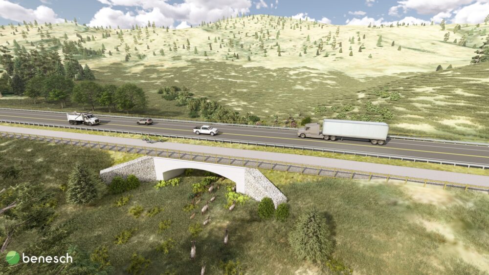 US 36 Wildlife Crossings - Boulder County