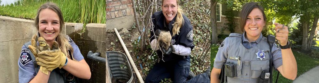 Animal Protection - Boulder County