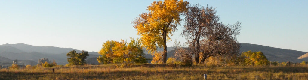 Home - Boulder County
